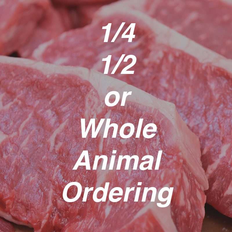 Shop – Miller Cattle Company